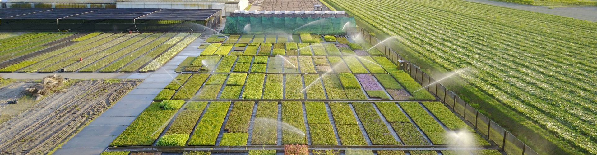 Home | Gebr. Rotteveel